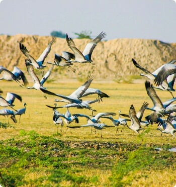 ESG Governance - ESG Key Sustainability Topics | Vedanta Limited