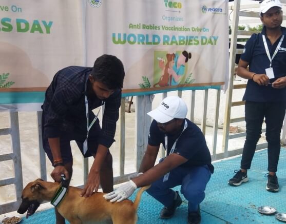 TACO | Animal Welfare: Safeguarding the Rescued | Vedanta Limited