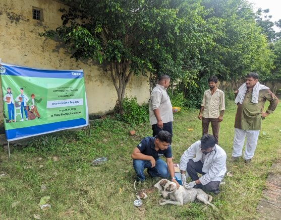 TACO | Animal Welfare: Safeguarding the Rescued | Vedanta Limited