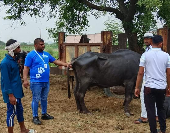 TACO | Animal Welfare: Safeguarding the Rescued | Vedanta Limited