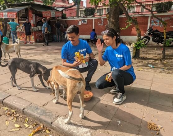 TACO | Animal Welfare: Safeguarding the Rescued | Vedanta Limited