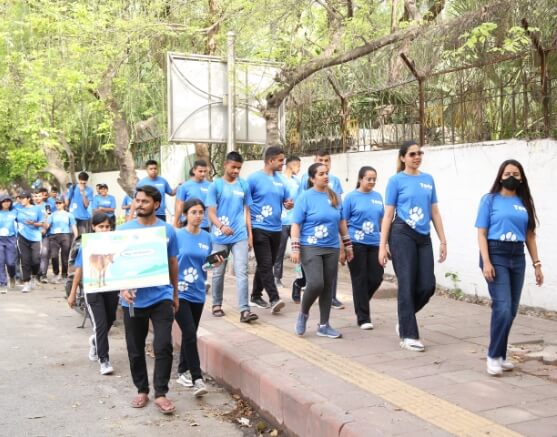 TACO | Animal Welfare: Safeguarding the Rescued | Vedanta Limited