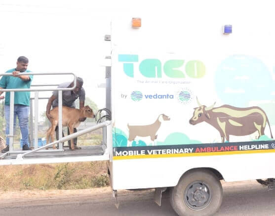 TACO | Animal Welfare: Safeguarding the Rescued | Vedanta Limited