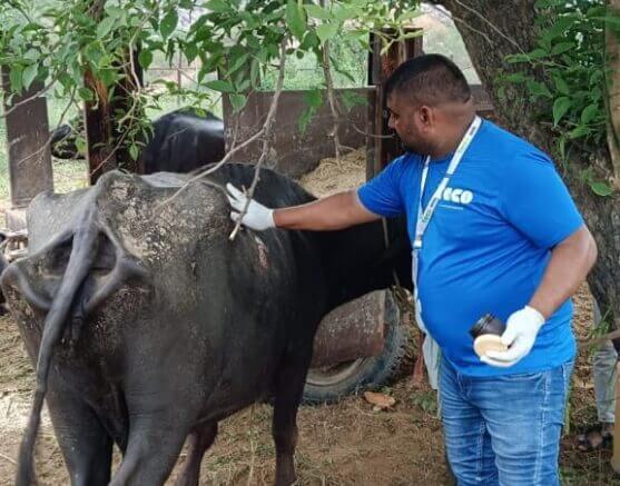 TACO | Animal Welfare: Safeguarding the Rescued | Vedanta Limited