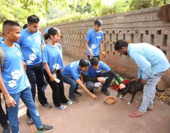 TACO | Animal Welfare: Safeguarding the Rescued | Vedanta Limited