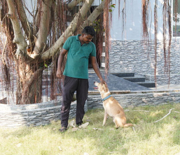 TACO | Animal Welfare: Safeguarding the Rescued | Vedanta Limited