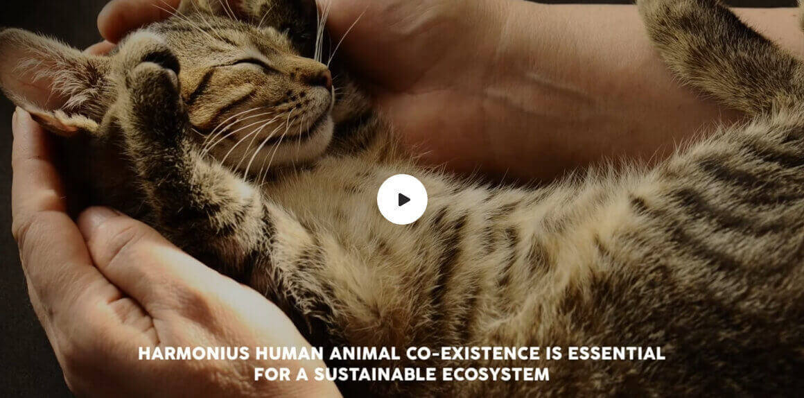 TACO | Animal Welfare: Safeguarding the Rescued | Vedanta Limited